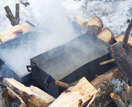 About | Eigensinn Farm